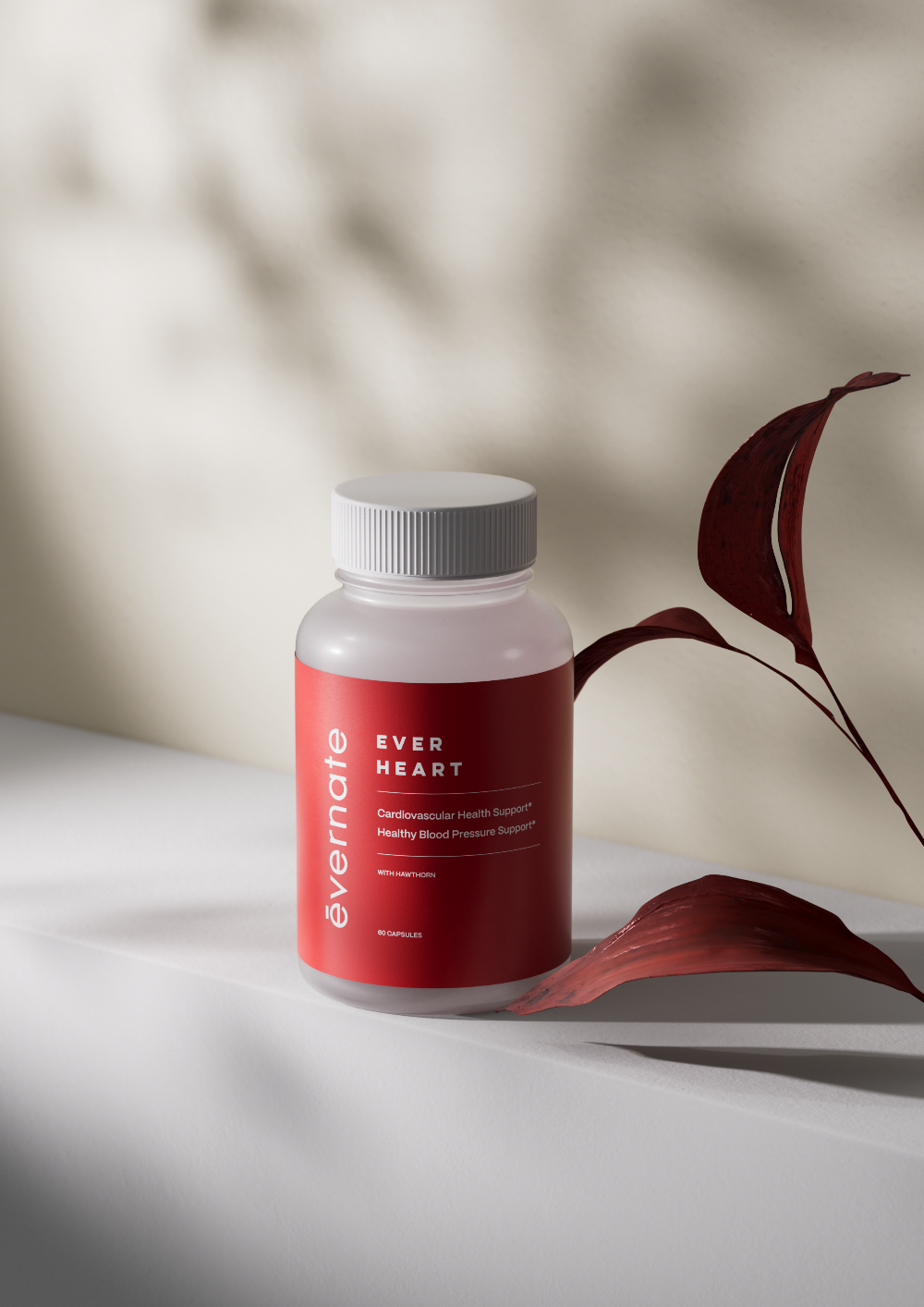 Our Products – Evernate